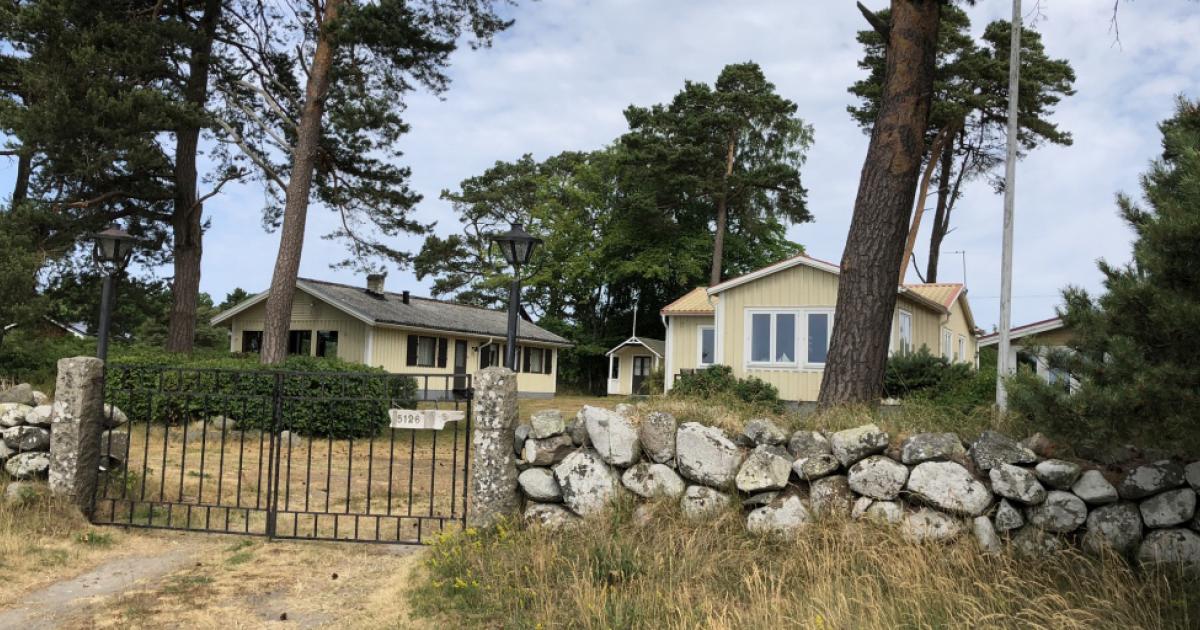 Värdet av ett fullvuxet träd - vad kostar ett träd? | Byggahus.se